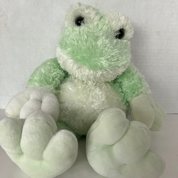 Toys | Dan Dee Collectors Choice Green Frog Soft Floppy Big Feet Plush ...